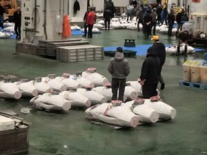 A Guide to Toyosu Fish Market (Part 2): Witnessing the Thrill of the ...